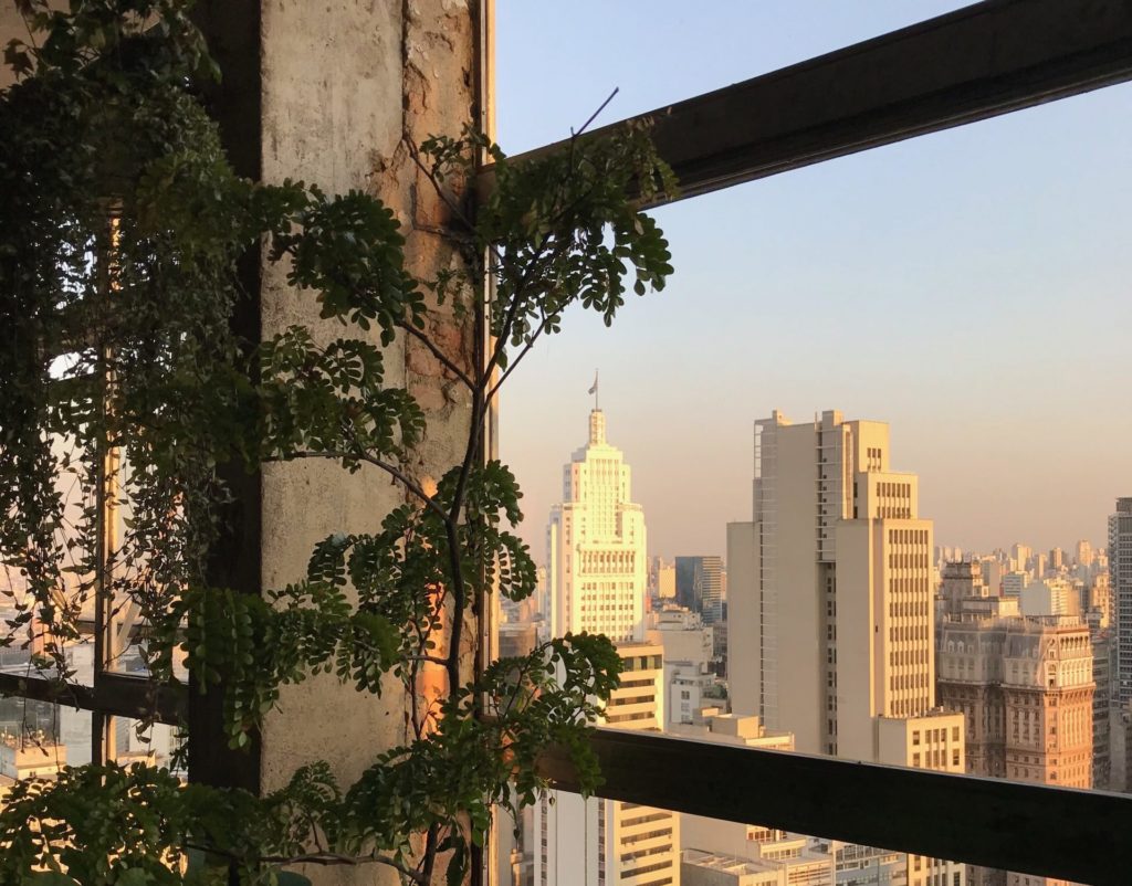 Uma selva no Mirante do Vale. Veja fotos